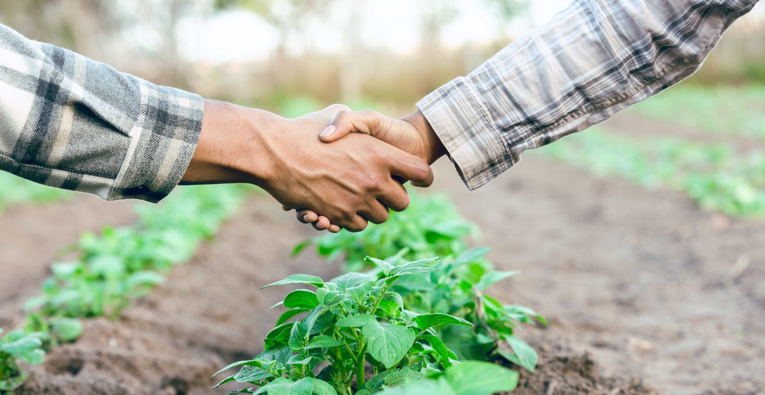 Green Future: Support for Agriculture and Social Benefits