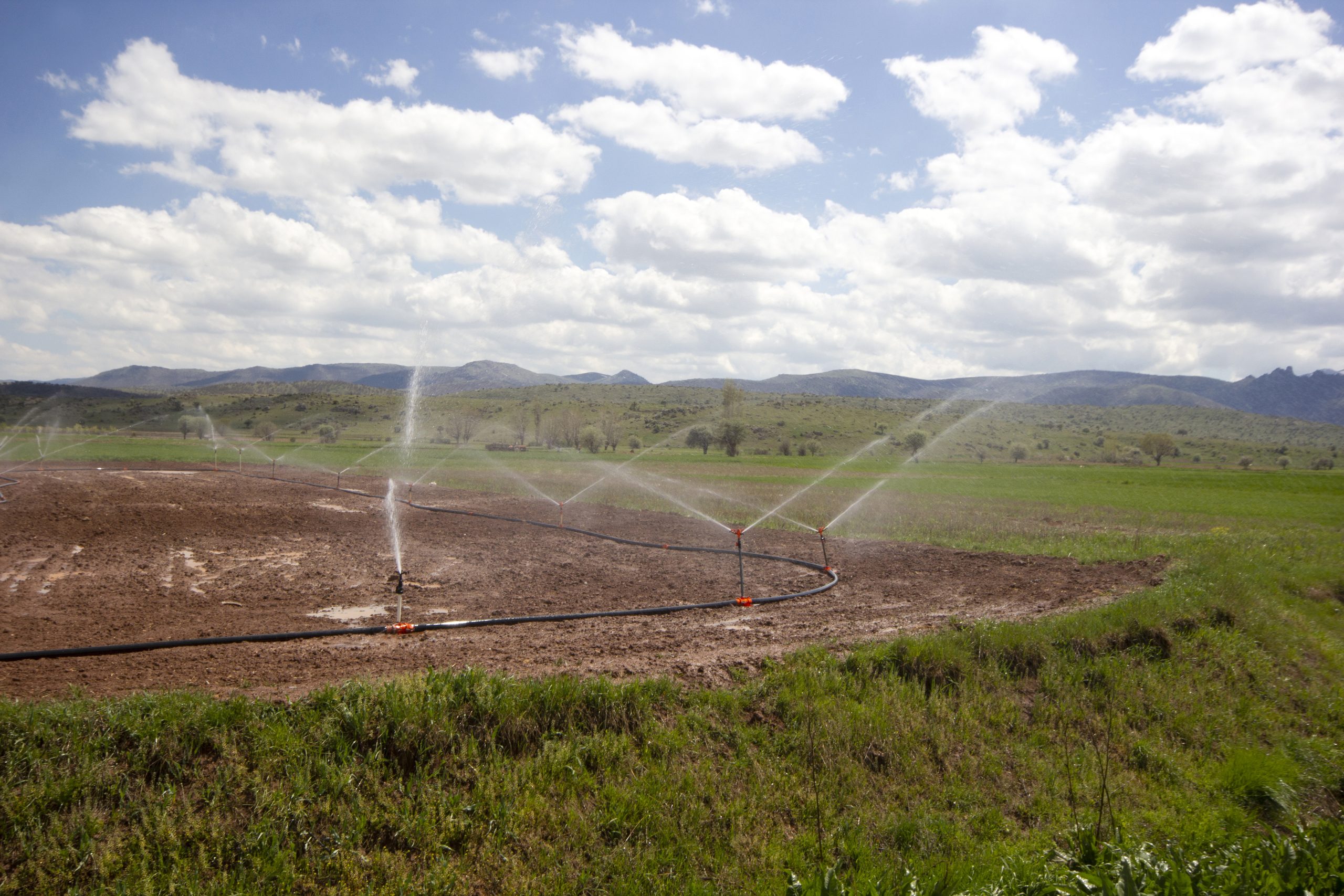 Innovative Solutions to Combat Drought: Water Management and Efficiency ...