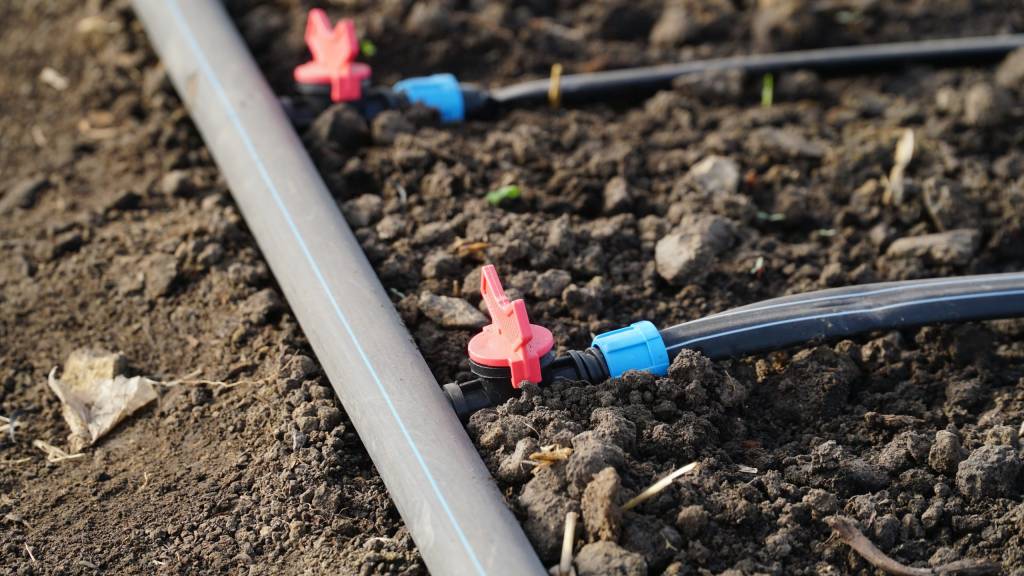 Drip Irrigation Technology: Modern Solutions for Water Savings and ...